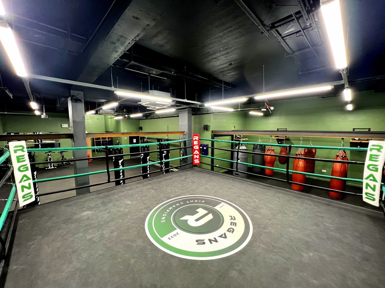 Regans Fight Champions and Courtyard Cafe - Purley Business Improvement ...